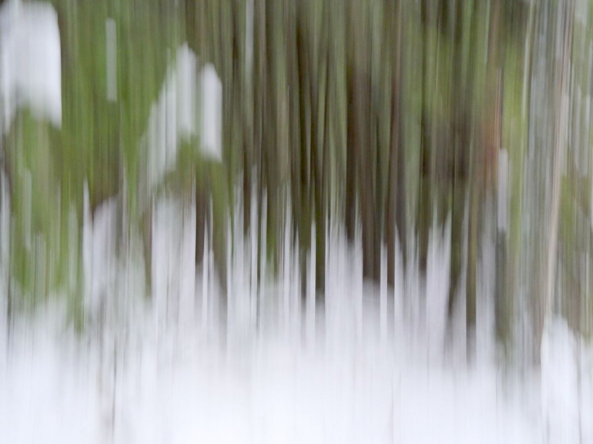 Start – The Green Earth Dictionary