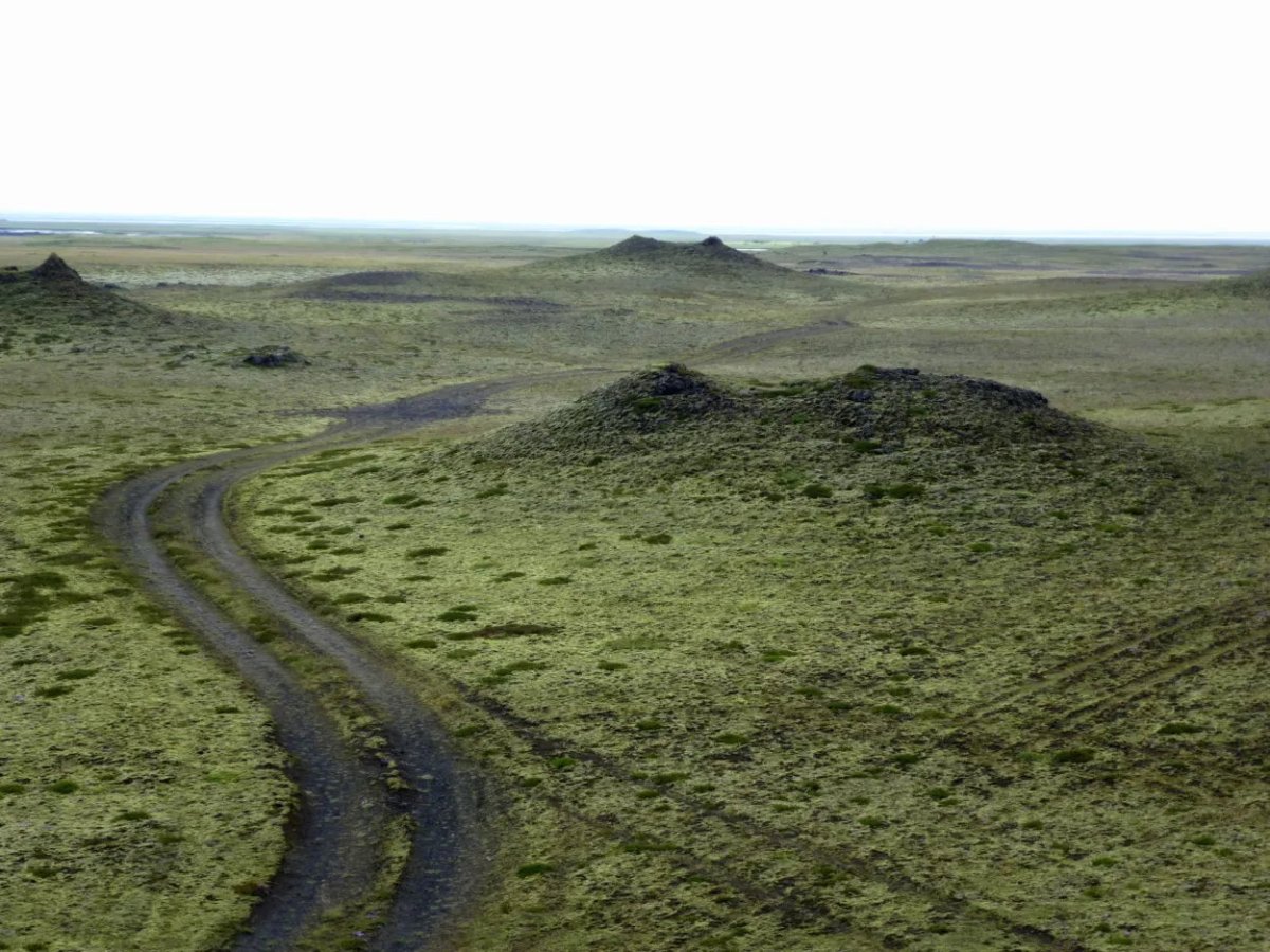 Rut – The Green Earth Dictionary